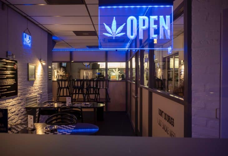 How To Make Hash 101 | Easiest DIY Methods Explained