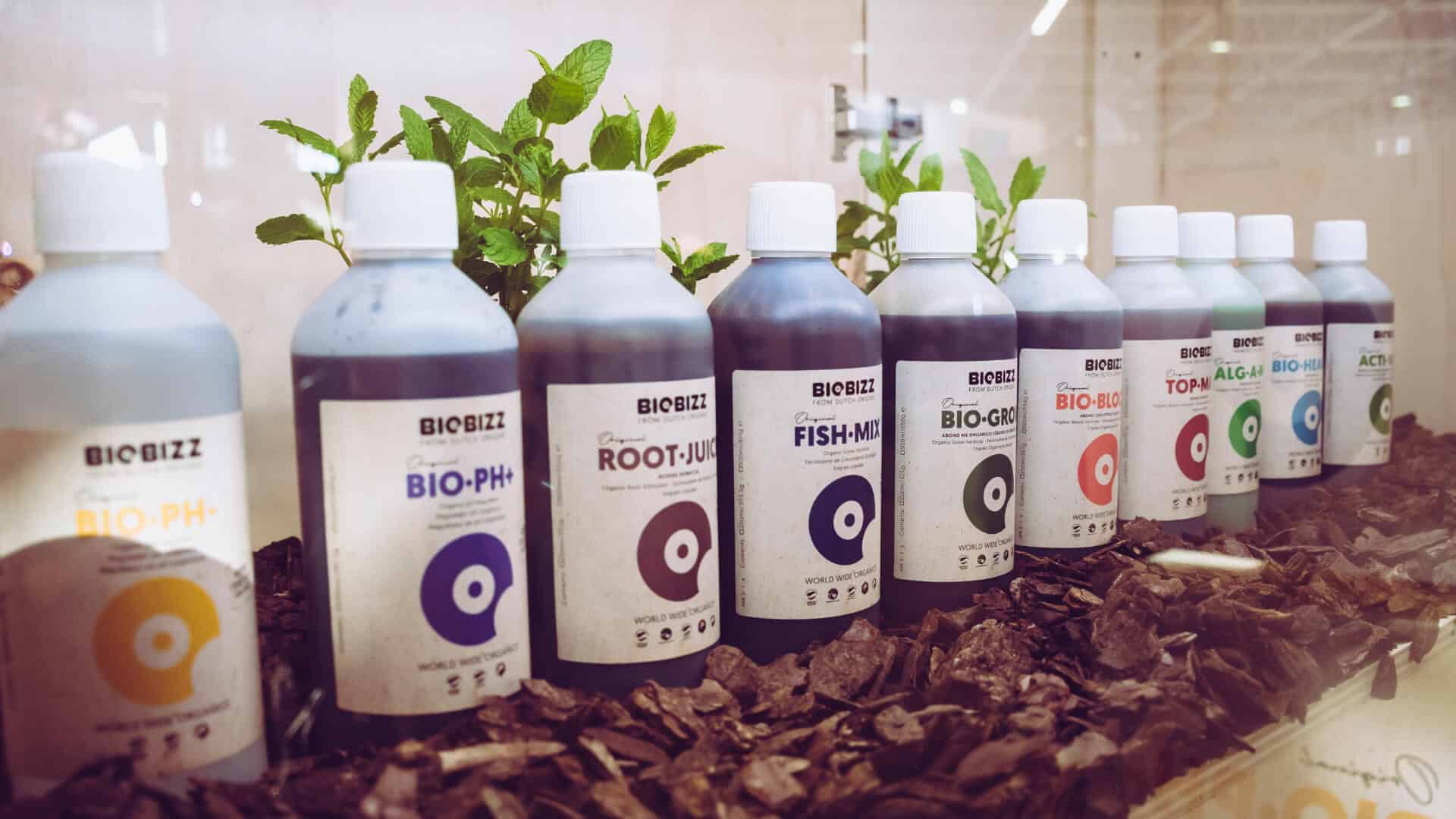 Organic Cannabis - Why It Matters For Your Health And The Planet